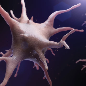 Mechanism of Action Animations | MediVisuals + High Impact