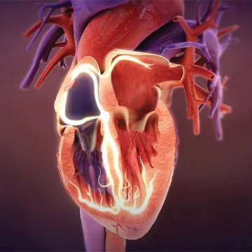 Benefits of Medical Malpractice Trial Animations | MediVisuals + High ...