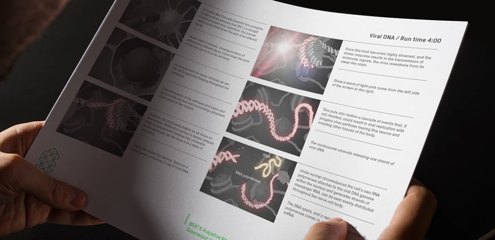 MOA Animation for Fibromyalgia Drug | MediVisuals + High Impact
